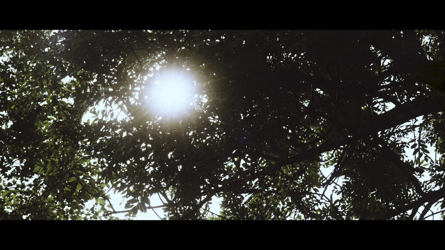 Venia | Kurzfilm von smArt Productions - FS1